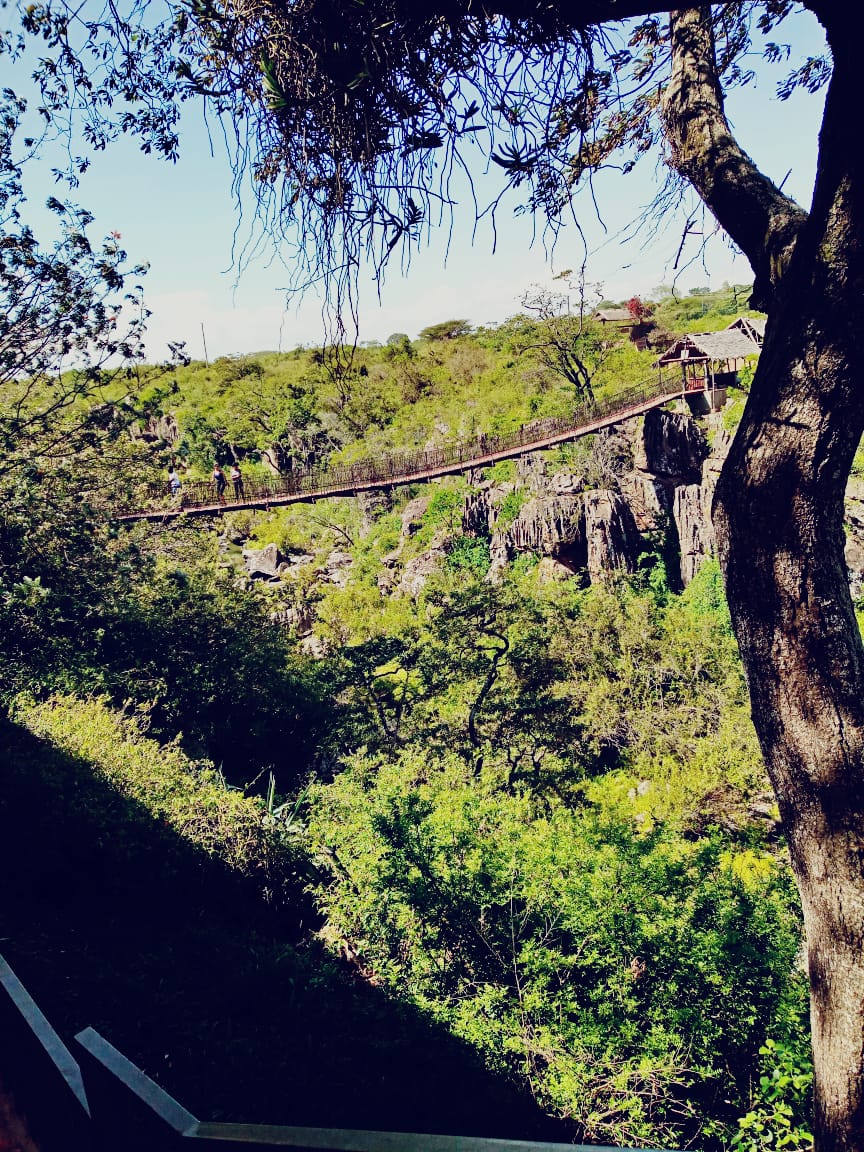 Scariest Bridge in Kenya, Rolfs Place. - kemzykemzy